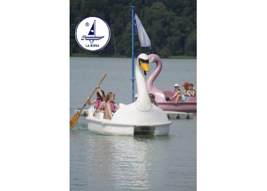 Tretboot-Der grosse Schwan