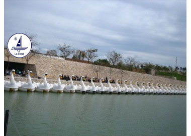 Tretboot-Der grosse Schwan