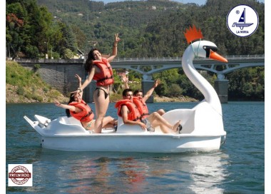 Tretboot-Der grosse Schwan